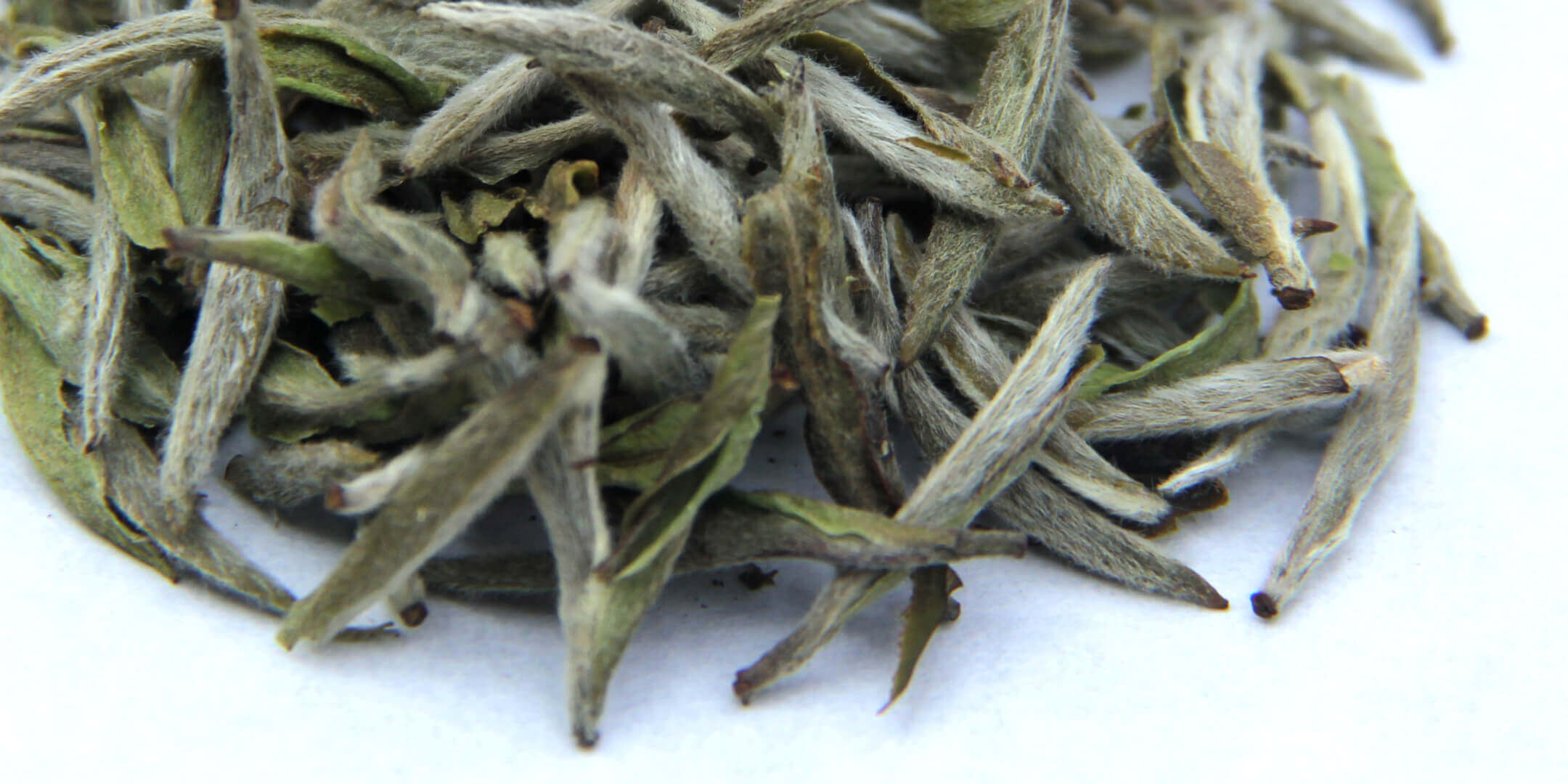 Premium White Tea Collection – Loose Leaf White Teas | Wan Ling Tea House