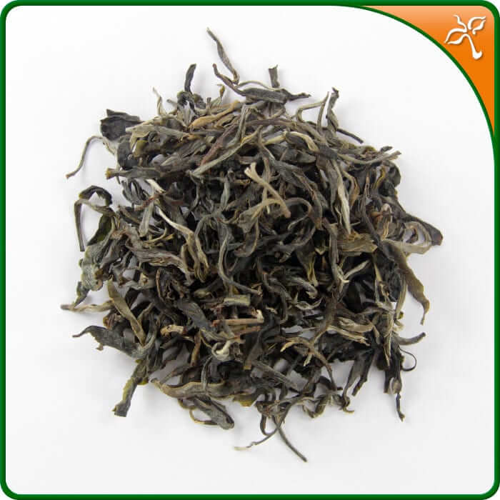 Ji Di Old Tea Tree Sheng Puerh